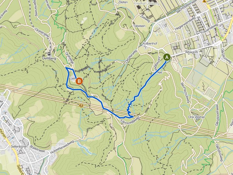 Uetliberg Lantern Trail | hike | Komoot