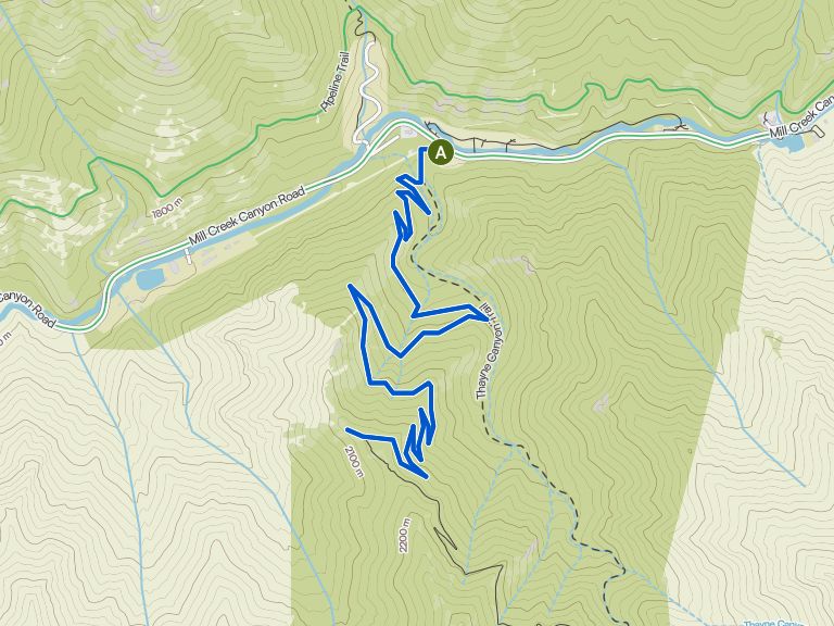 Desolation Overlook — Uinta-Wasatch-Cache National Forest | caminhada ...