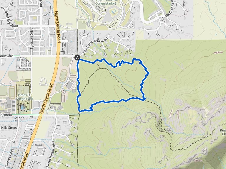 Linda Vista Trail loop — Pusch Ridge Wilderness | hike | Komoot