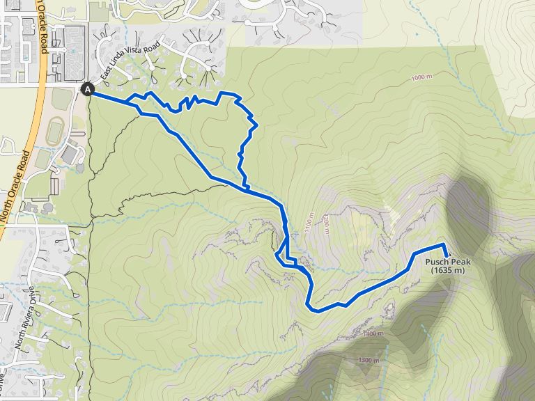 Pusch Peak Loop — Coronado National Forest | hike | Komoot