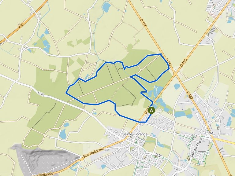 Forêt Domaniale de l'Herbergement — loop from Sainte-Florence | hike ...