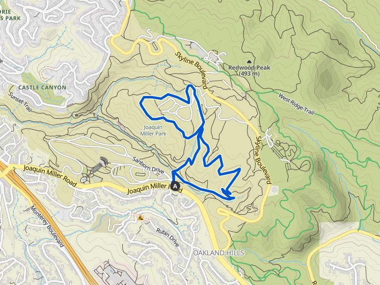 Sequoia Bayview Trail | randonnée pédestre | Komoot
