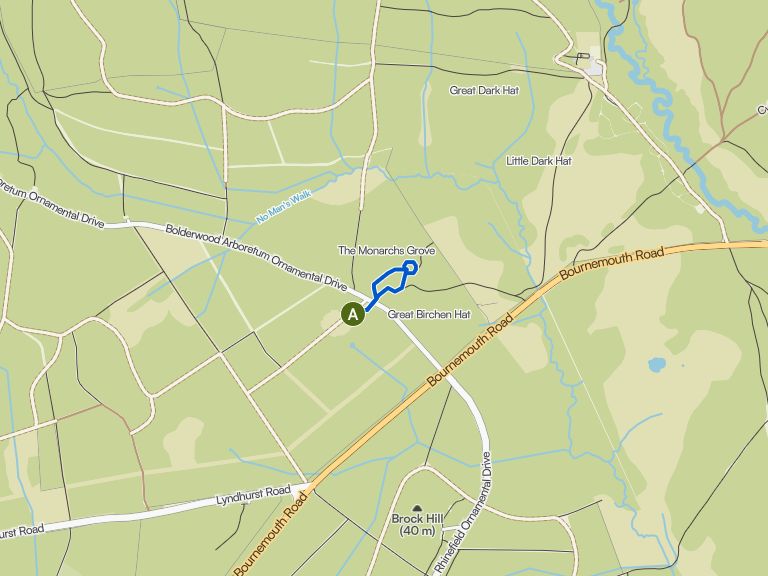 Knightwood Oak Stroll — New Forest National Park | hike | Komoot