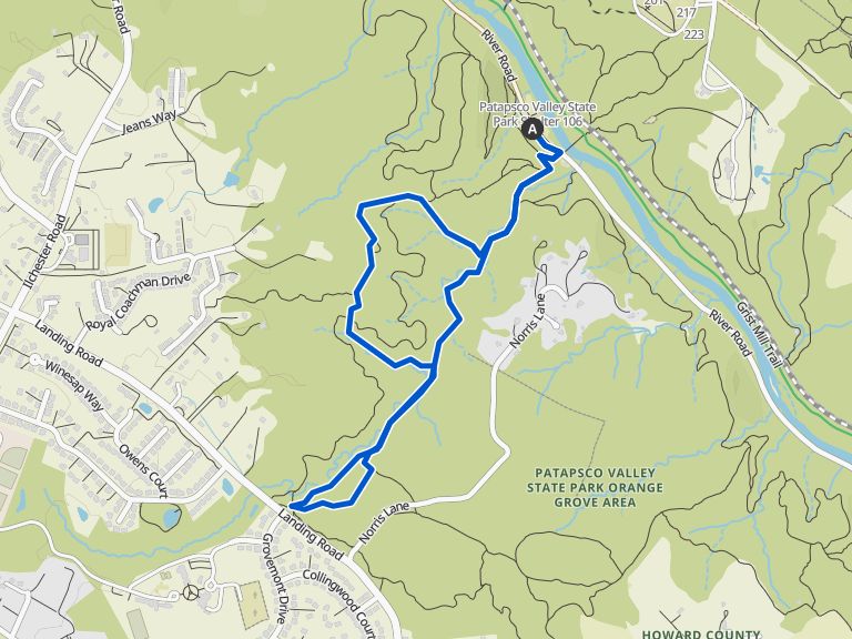 Cascade Falls Trail loop — Patapsco Valley State Park | wandeling | Komoot