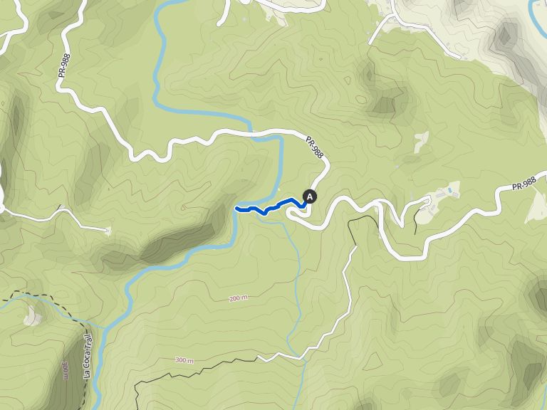 Angelito Trail — El Yunque National Forest | Wanderung | Komoot