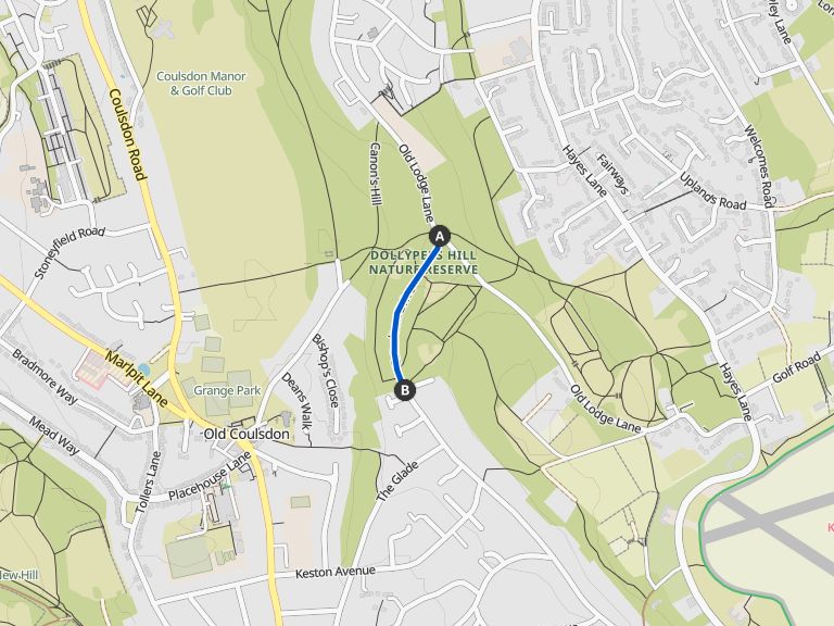 CH Footpath 740 (Byway) Caterham Drive | hike | Komoot