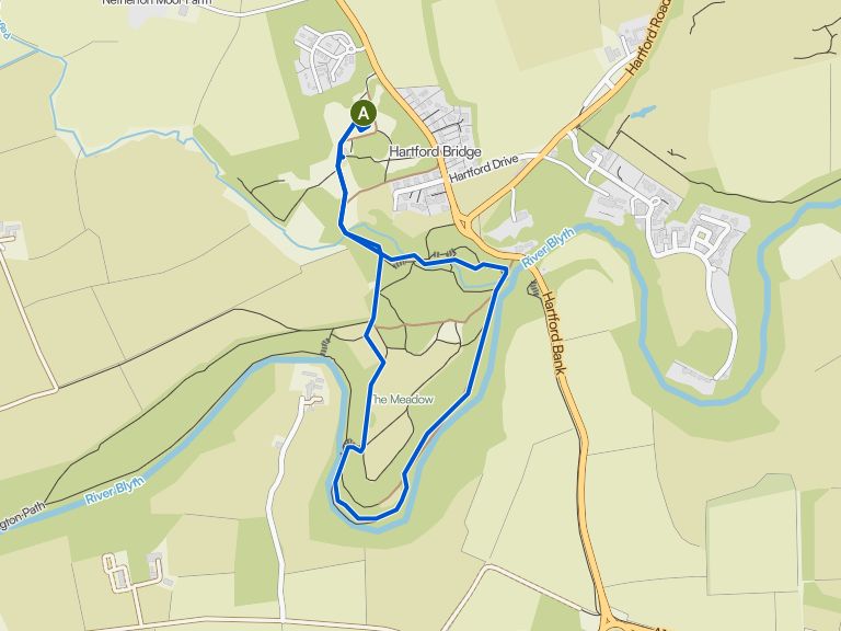 Loop do parque Plessey Woods Country | caminhada | Komoot