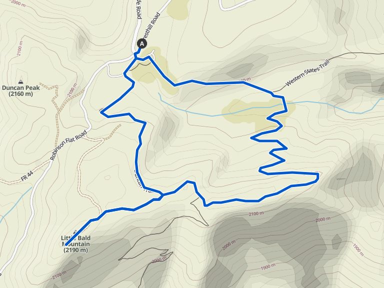 Little Bald Mountain Trail Loop a Duncan Peak Fire Lookout — Tahoe ...