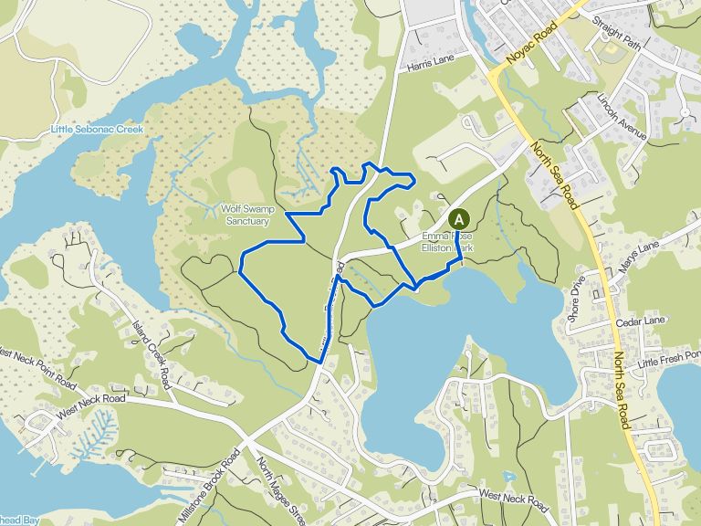 Big Woods Preserve & Wolf Swamp Sanctuary from Emma Rose Elliston Park ...