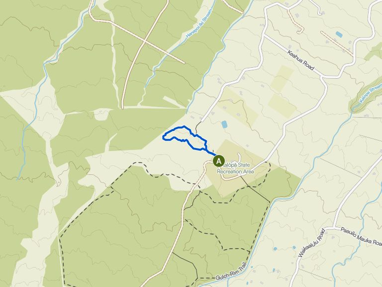 Kalōpā Nature Trail loop — Kalōpā Native Forest State Park and ...