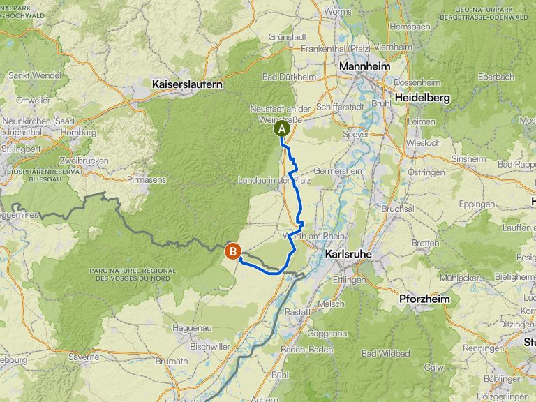 Südpfalz-Radweg VP F 🚄🚴🍇🫐🍒🍓🌲🌳🌿💮🌸💐🌊🌤️🚄 | bike Tour | Komoot
