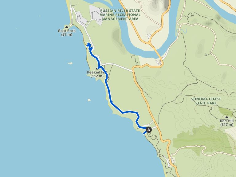 Shell Beach to Blind Beach via Kortum Trail — Sonoma Coast State Park ...