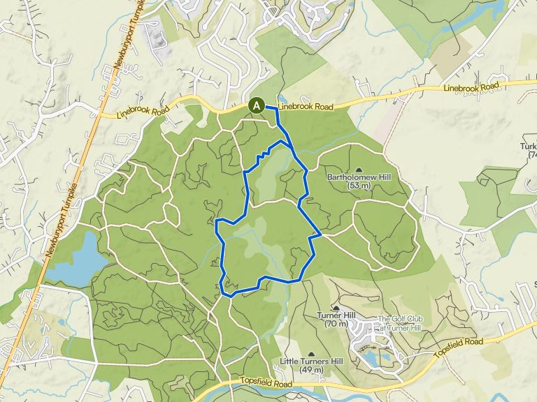 Willowdale State Forest Loop — Willowdale State Forest | escursione ...