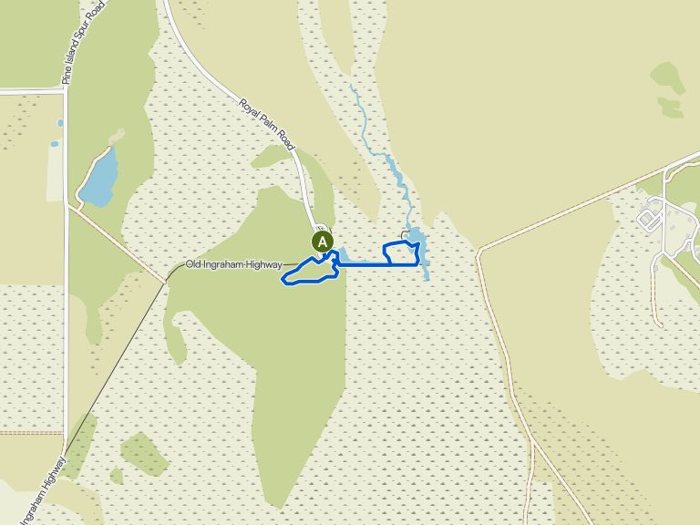 Anhinga and Gumbo Limbo Trail loop — Everglades National Park | hike ...