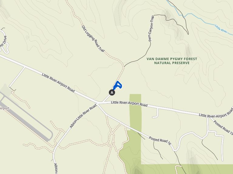 Pygmy Forest Discovery Trail — Van Damme State Park | hike | Komoot