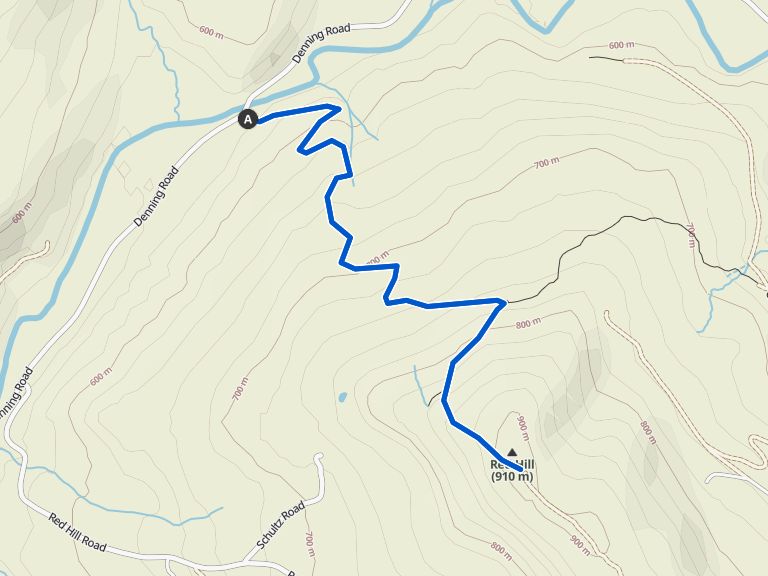 Red Hill Fire Tower Trail — Sundown Wild Forest Vous voulez explorer la ...