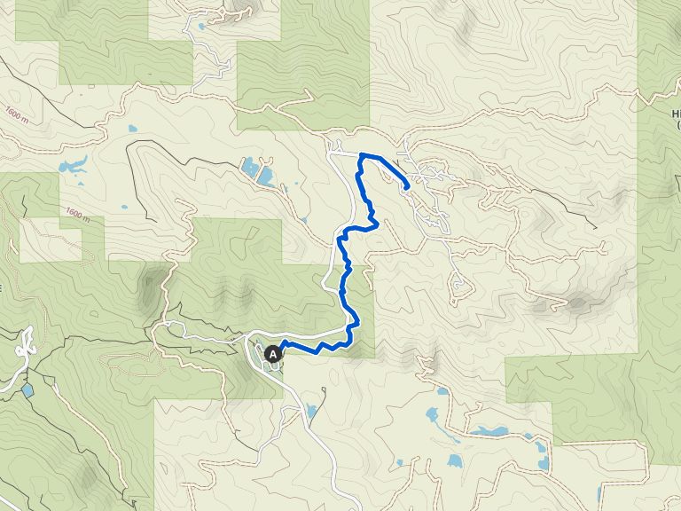 Palomar Observatory Trail – Palomar Mountain State Park Recopilas una ...
