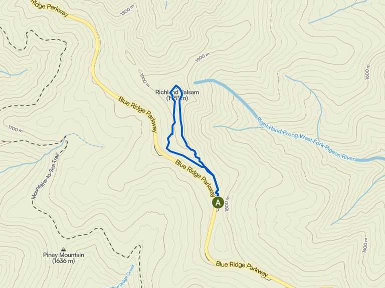 Richland Balsam Nature Loop Trail – Middle Prong Wilderness Sei in ...
