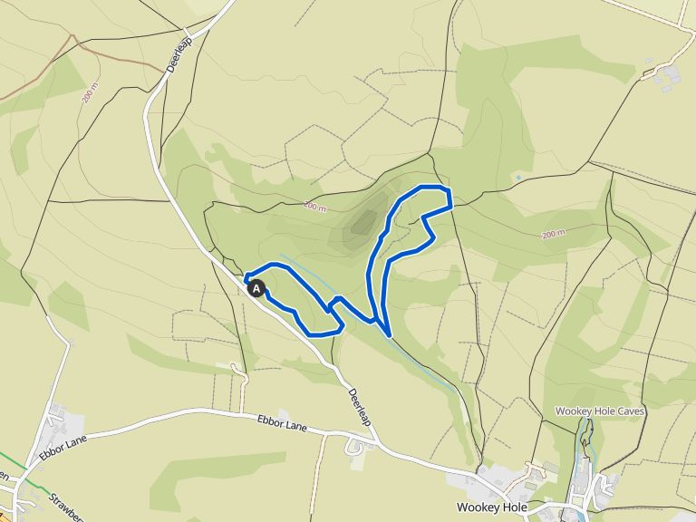Ebbor Gorge Schleife von Deerleap — Mendip Hills | Wanderung | Komoot