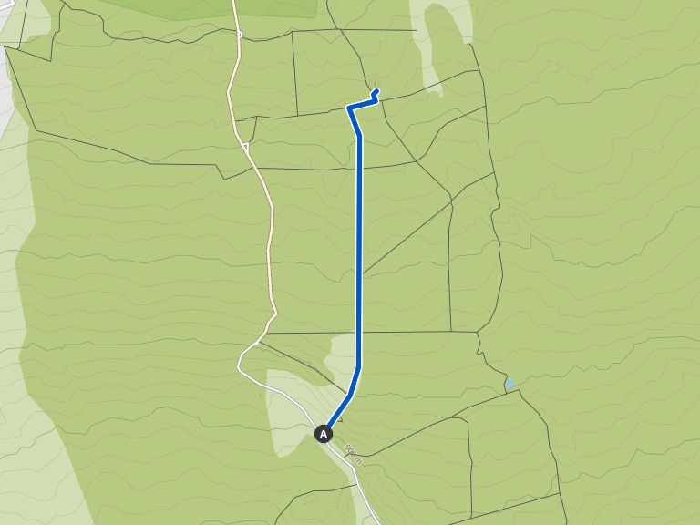 Forested Pit Crater — Kahuku Unit — Hawai'i Volcanoes National Park ...