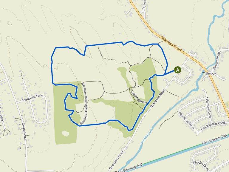 Camillus Forest Área Única loop — Camillus | trilha | komoot
