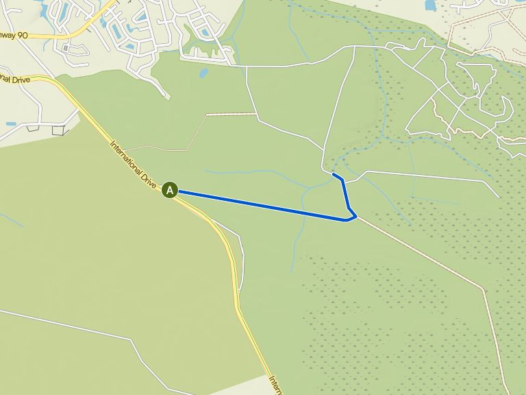Old Kingston Road — Lewis Ocean Bay Natural Heritage Preserve ...
