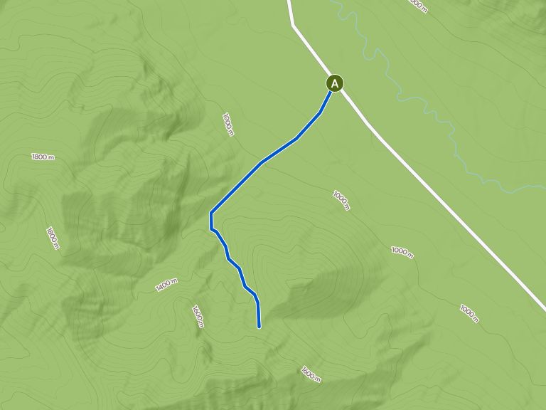 Skookum Volcano Trail — Parc national de Wrangell-St. Elias | course ...