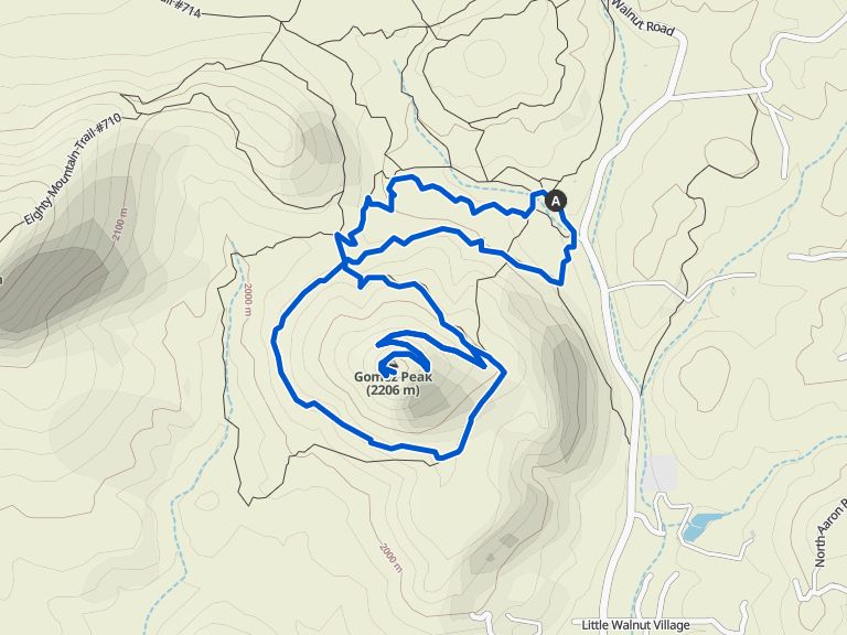 Gomez Peak via Piñon and Angel Loop Trails — Gila National Forest ...