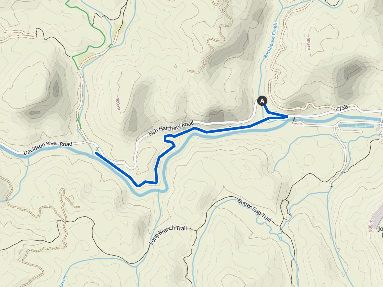 Davidson River Trail — Pisgah National Forest ist ein großartiger Ort ...